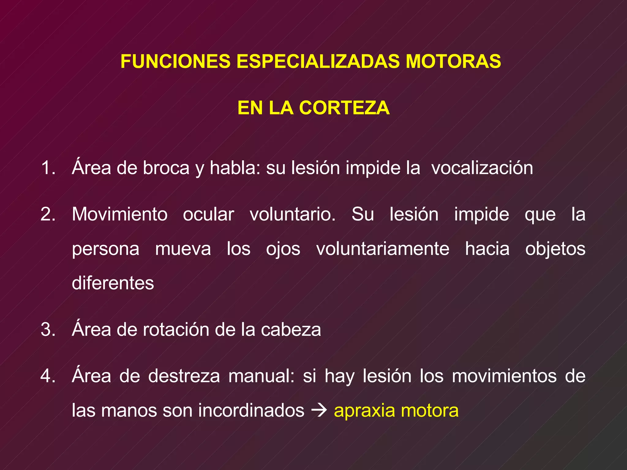 Funciones Motoras. Fisiologia | PPT