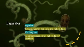 FUNCIONES DE LA MICROBIOTA INTESTINAL.pptx
