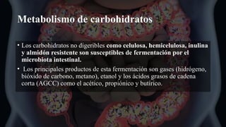 FUNCIONES DE LA MICROBIOTA INTESTINAL.pptx