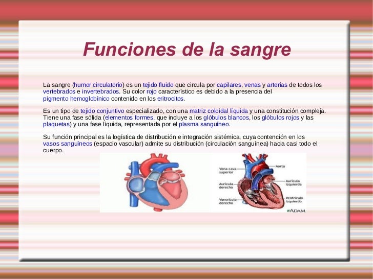 Funcion De La Cisteina - abstractor