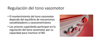 Funciones del endotelio vascular | PPTX