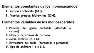Funciones Generales de los aminoacidos.pptx