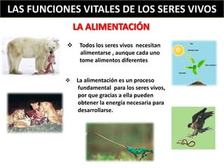 Funciones de los seres vivos. | PPTX