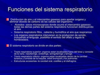 Funciones del sistema respiratorio 1 | PPT