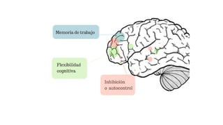 Funciones Ejecutivas Del Cerebro En El Aula Pptx