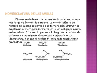 Funciones nitrogenadas y derivados azufrados.pptx.jefer Marval | PPTX