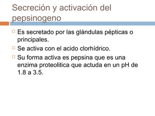 SECRECION DEL TUBO DIGESTIVO | PPT