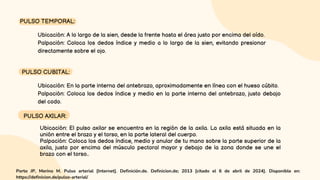 FUNCIONES VITALES, PA, FR, FC, PULSO, SATURACION | PDF