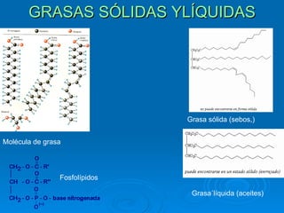 Funciones Vitales. Nutrientes | PPT
