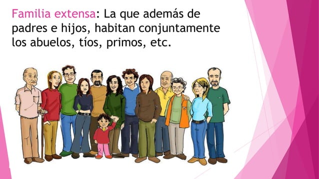 Funciones y estructuras tradicionales de la familia | PPT