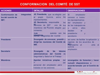 FUNCIONES Y RESPONSABILIDADES DEL CSST.pptx