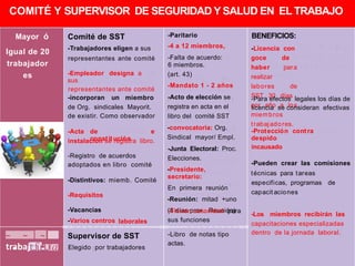 FUNCIONES Y RESPONSABILIDADES DEL CSST.pptx