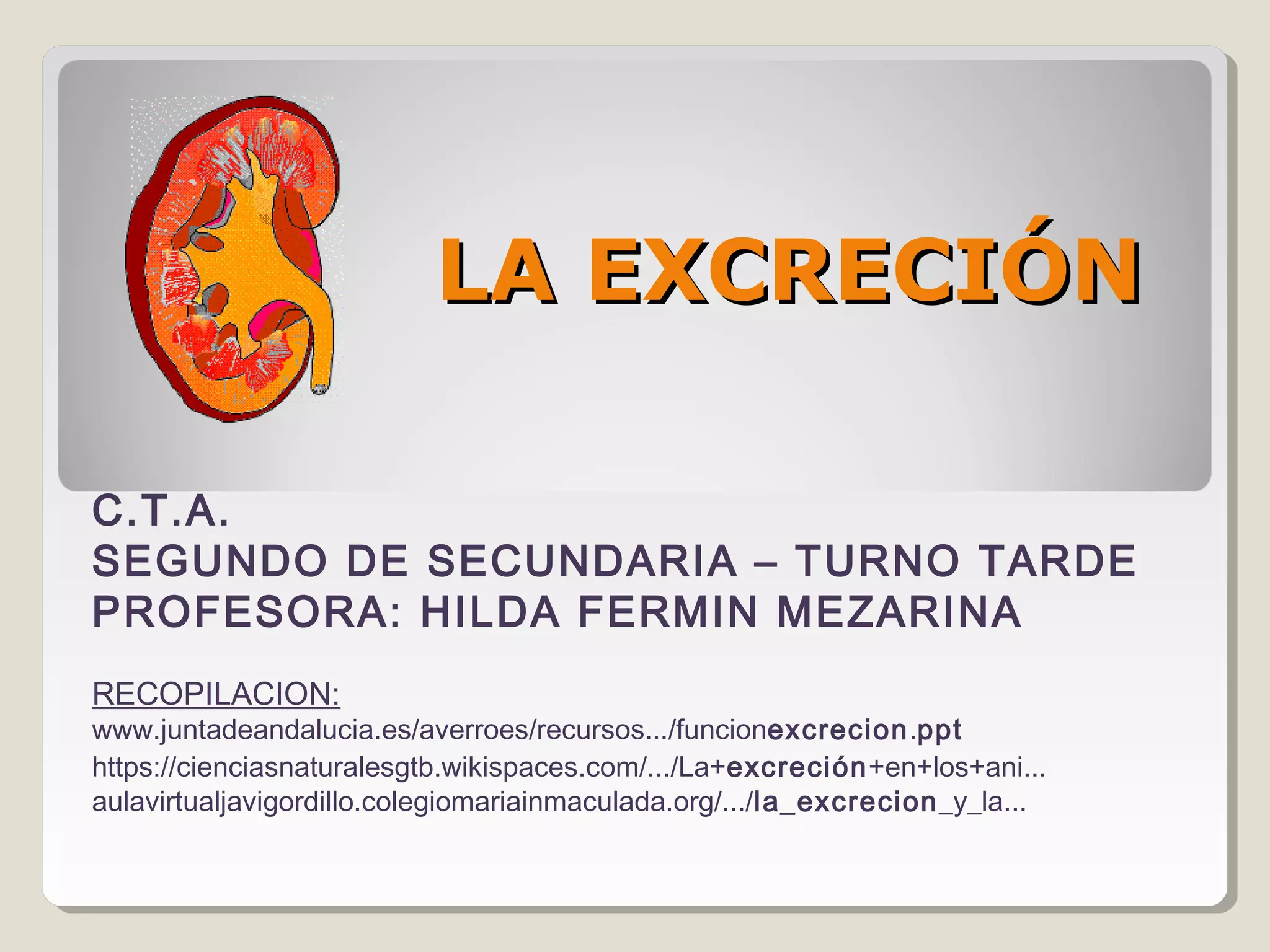 LA EXCRECIÓN | PPT