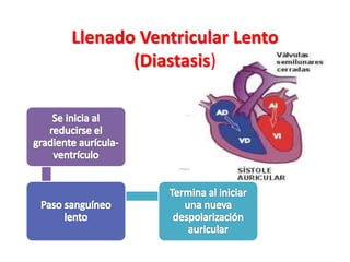 Funcion mecanica del corazon | PPTX