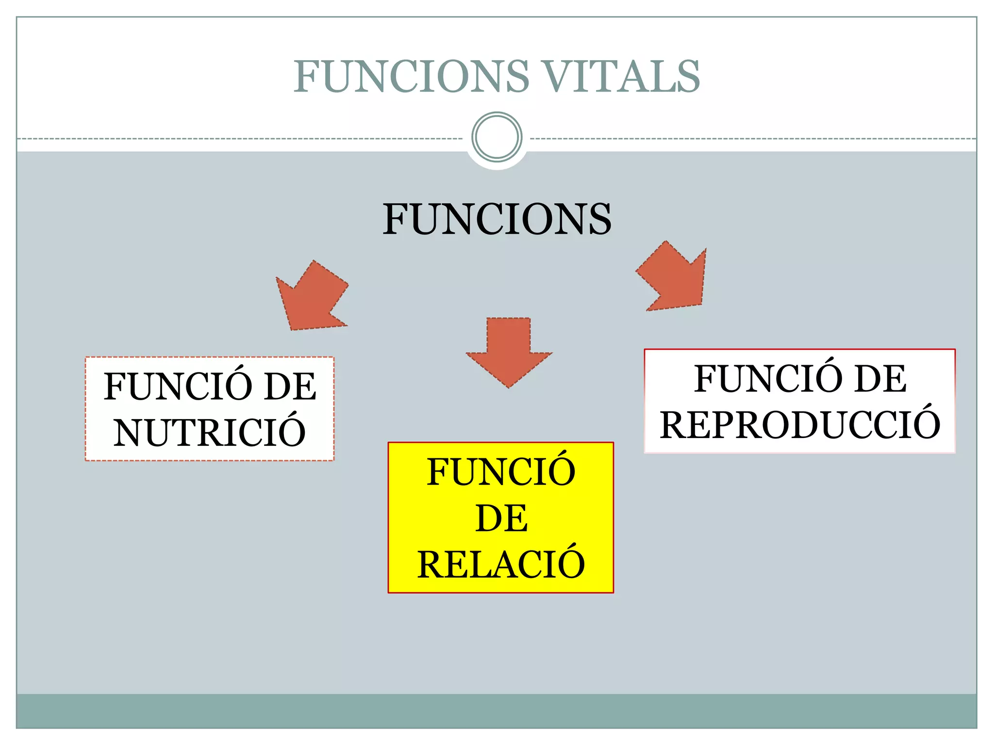 Funcions vitals | PPTX