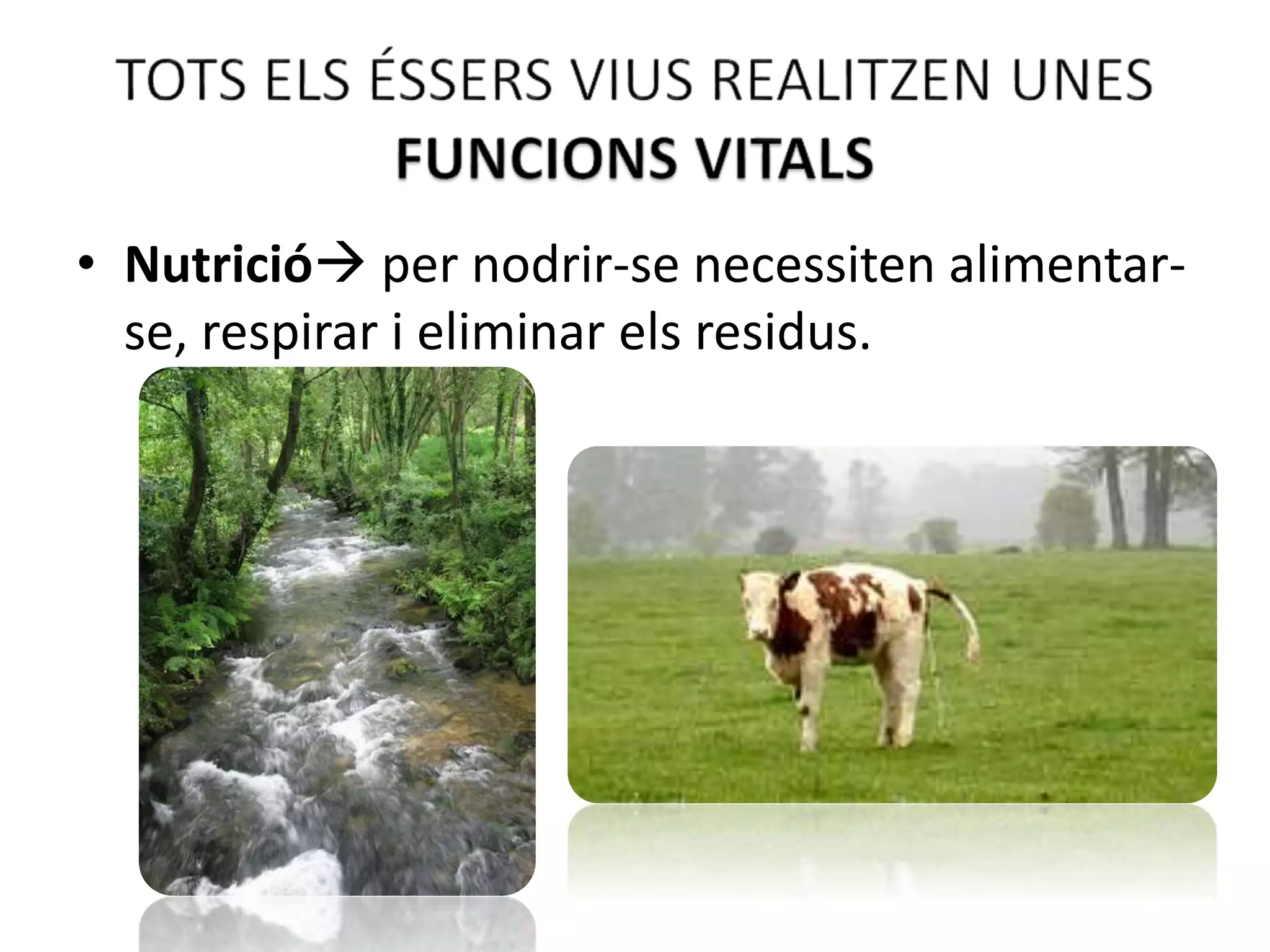 Funcions vitals | PPT
