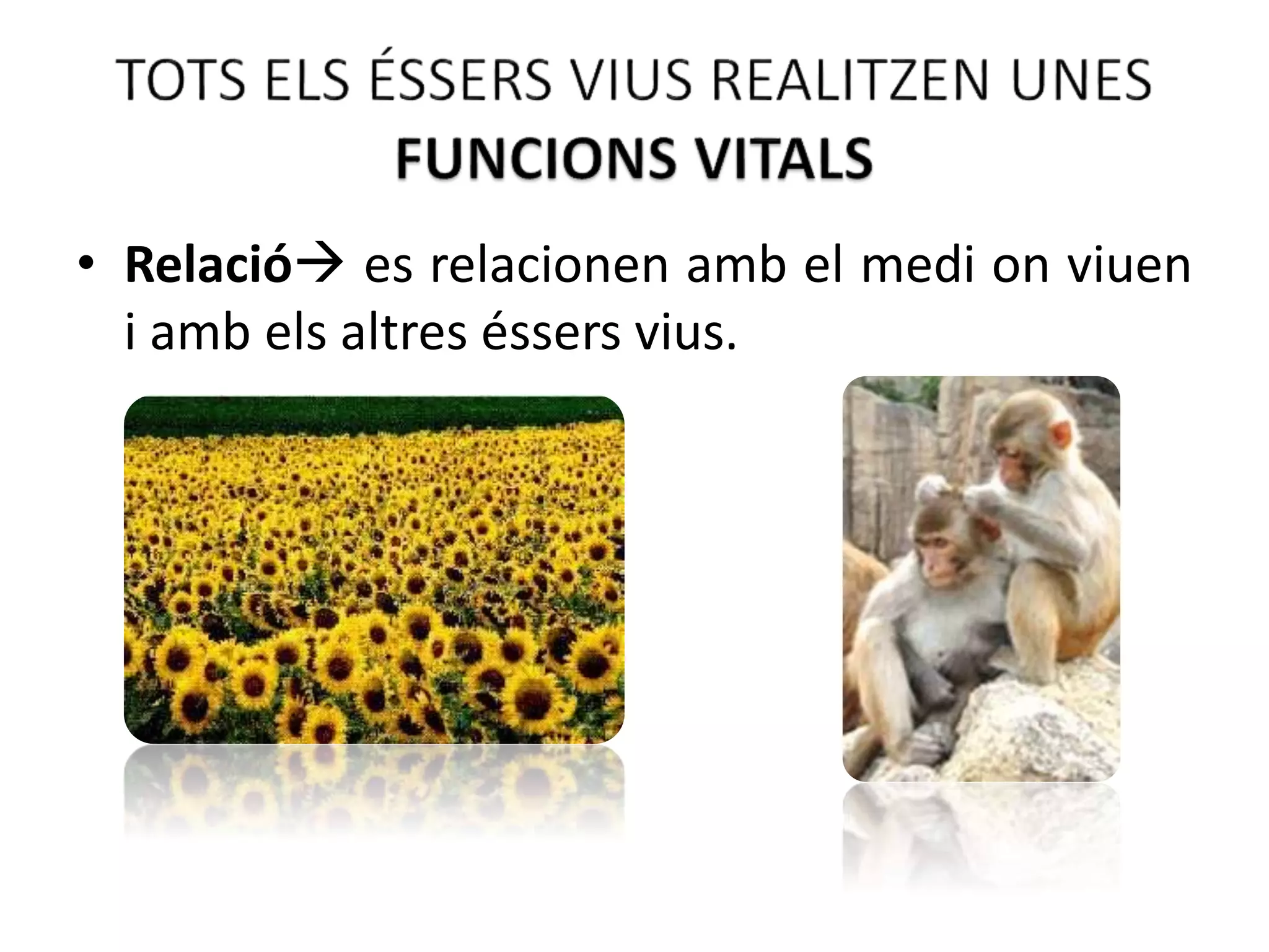 Funcions vitals | PPT