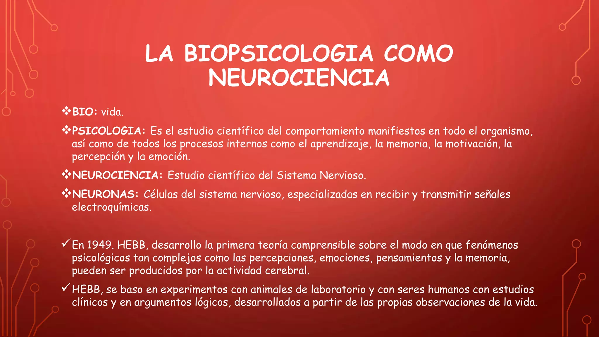 Funcion Y Localizacion Anatomica De Los Pares Craneales Ppt