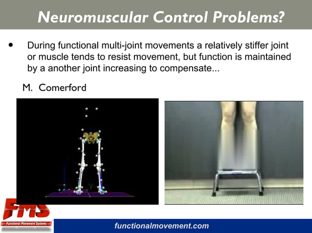Functional Movement Screen Reduces Injuries | PPT | Physical Therapy ...