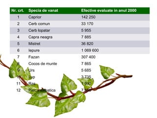 Functiile padurii | PPT