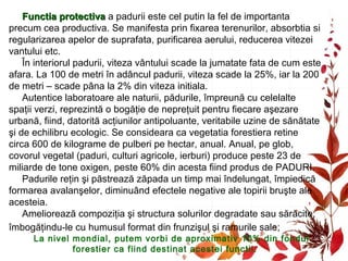 Functiile padurii | PPT