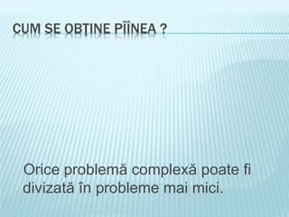 Functii si proceduri rom | PPT