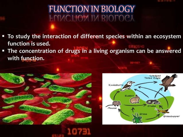Real life application of Function. | PPTX | Physics | Science