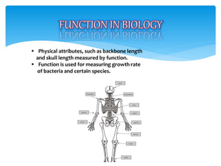 Real life application of Function. | PPTX