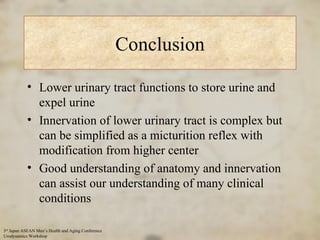 Functional Anatomy and Innervation of Urinary Tract | PPT
