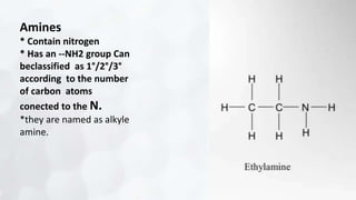 Functional-Grou-WPS-Office.pptx