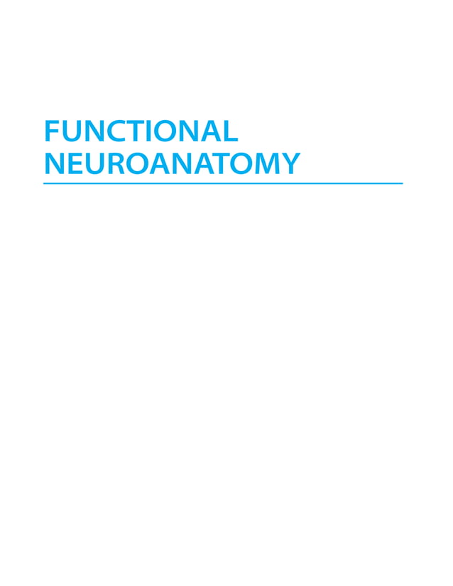 Functional Neuroanatomy Text And Atlas 2nd Ed 9780071408127 0071408126 Pdf