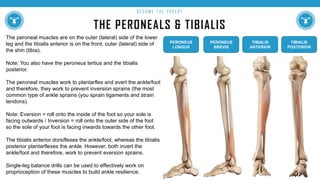 Human . body . FUNCTIONAL . ANATOMY.pdf