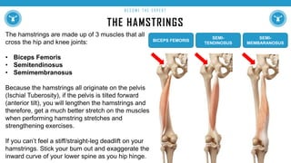 Human . body . FUNCTIONAL . ANATOMY.pdf