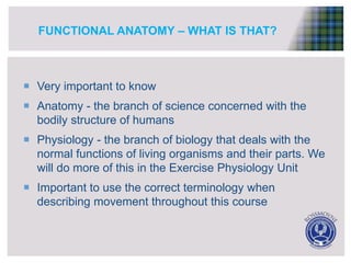 Functional Anatomy 1 - Musculoskeletal system.pptx
