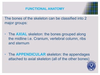 Functional Anatomy 1 - Musculoskeletal system.pptx