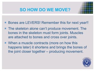 Functional Anatomy 1 - Musculoskeletal system.pptx
