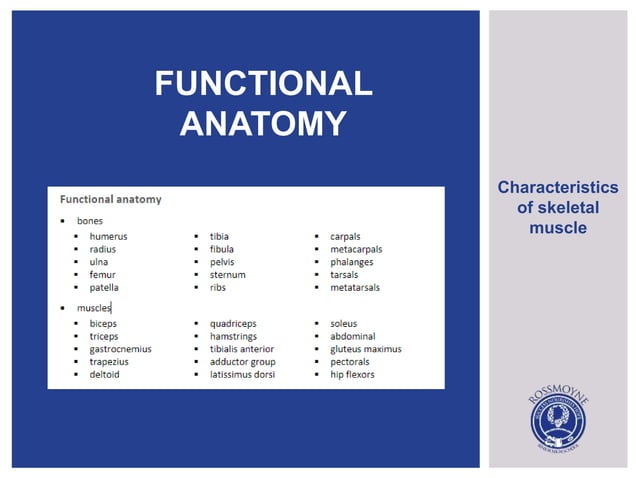 Functional Anatomy 1 - Musculoskeletal system.pptx