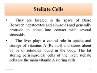 Functional anatomy and physiology of liver | PPTX