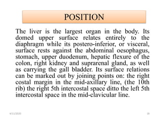 Functional anatomy and physiology of liver | PPTX