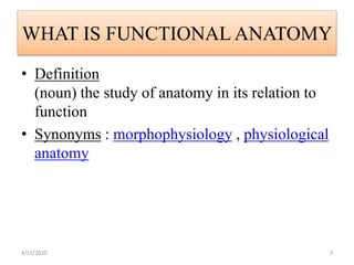 Functional anatomy and physiology of liver | PPT
