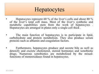 Functional anatomy and physiology of liver | PPT