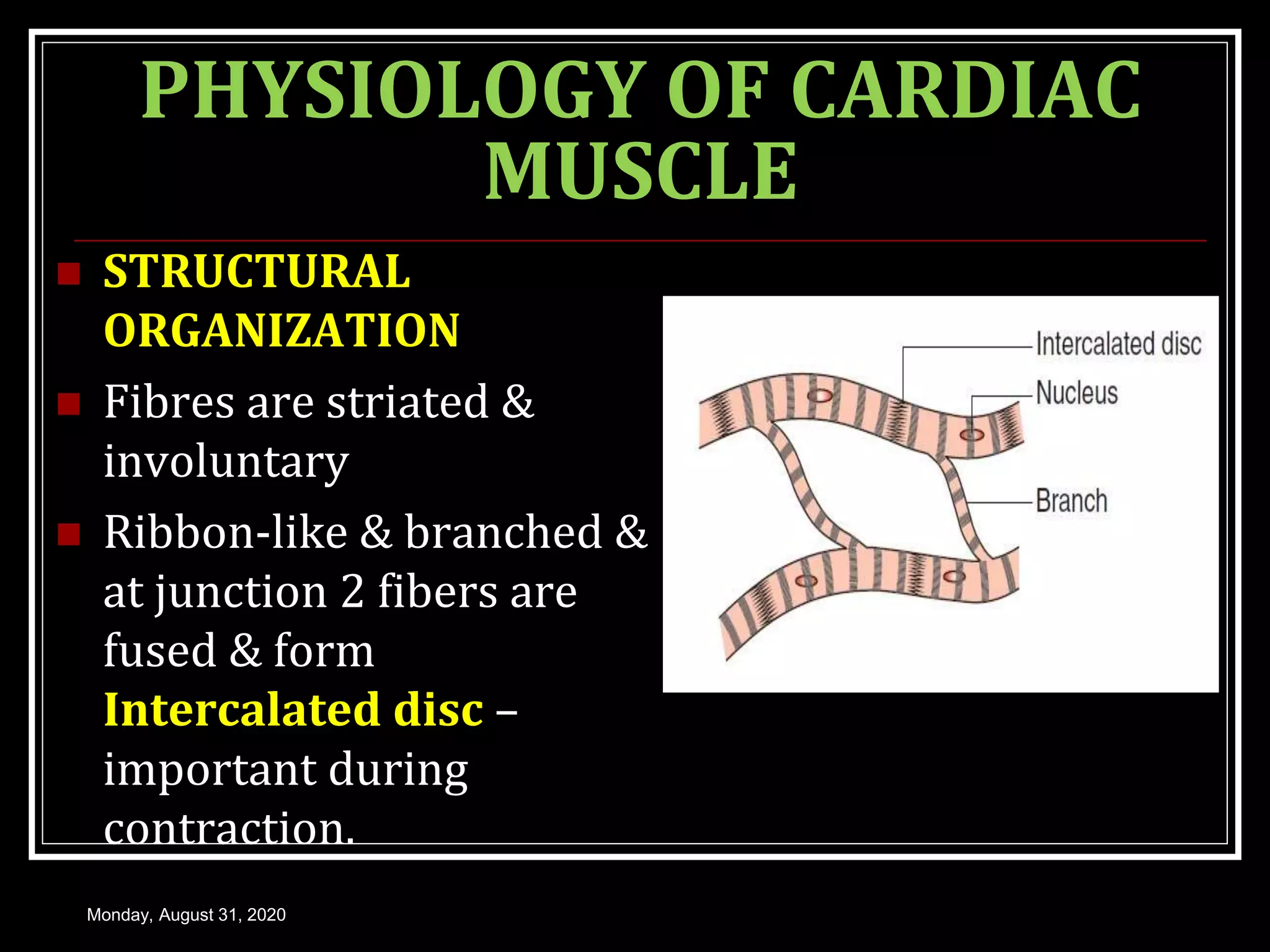 Functional anatomy and physiology of cardiac muscle | PPT