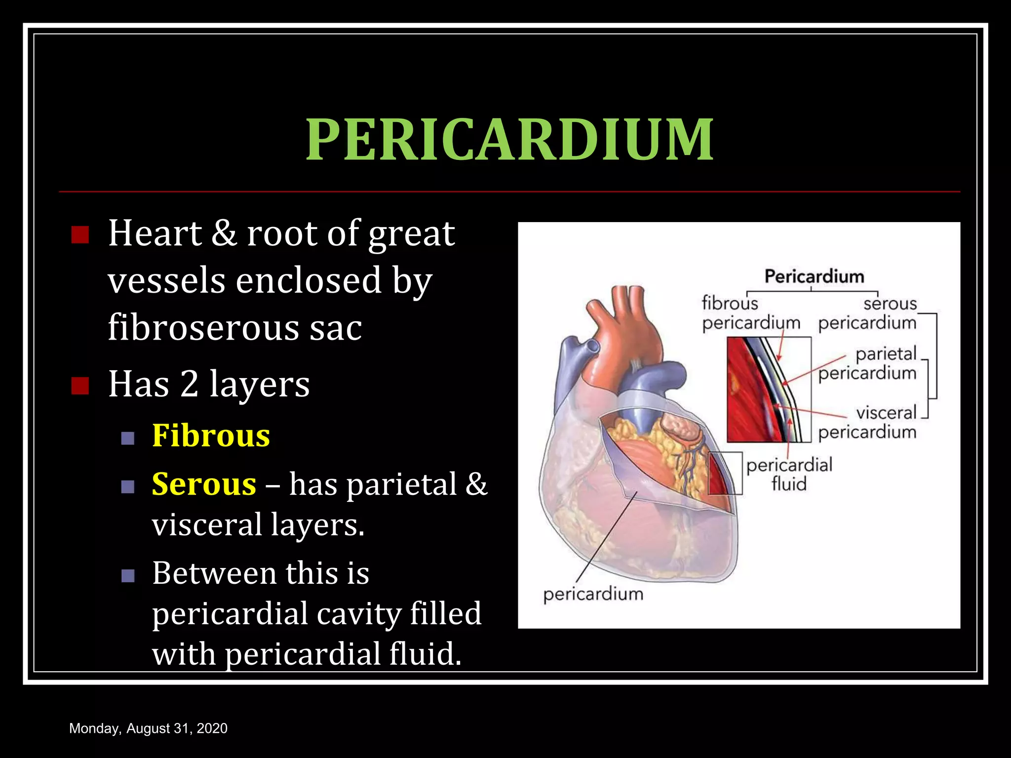 Functional anatomy and physiology of cardiac muscle | PPT