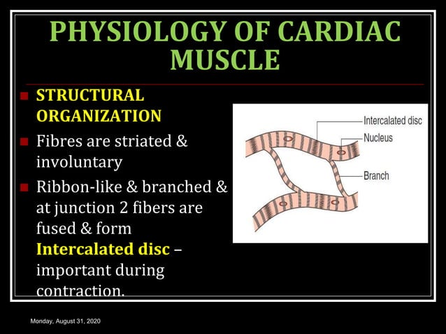 Functional anatomy and physiology of cardiac muscle | PPT