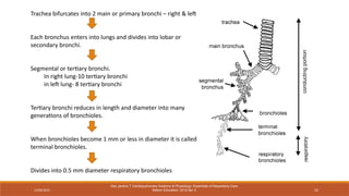 FUNCTIONAL ANATOMY AND PHYSIOLOGY OF DEGLUTITION, SPEECH, RESPIRATION ...