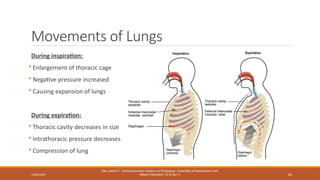 FUNCTIONAL ANATOMY AND PHYSIOLOGY OF DEGLUTITION, SPEECH, RESPIRATION ...