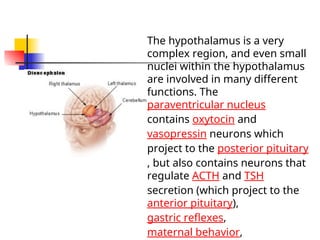 Functional_anatomy_and_physiopathology_of_hypothalamus_and ...