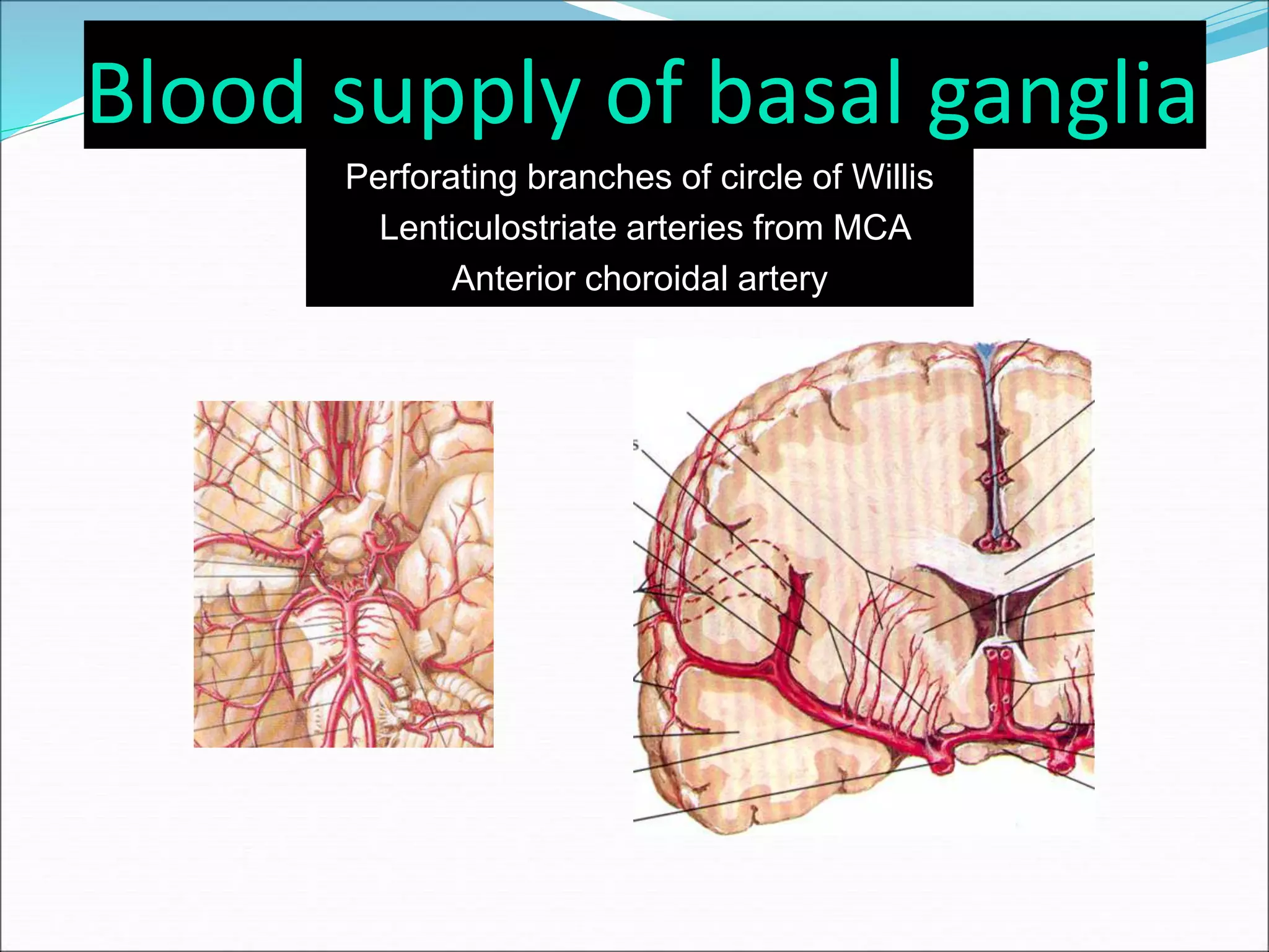 FUNCTIONAL_ANATOMY_OF_BASAL_GANGLIA.ppt