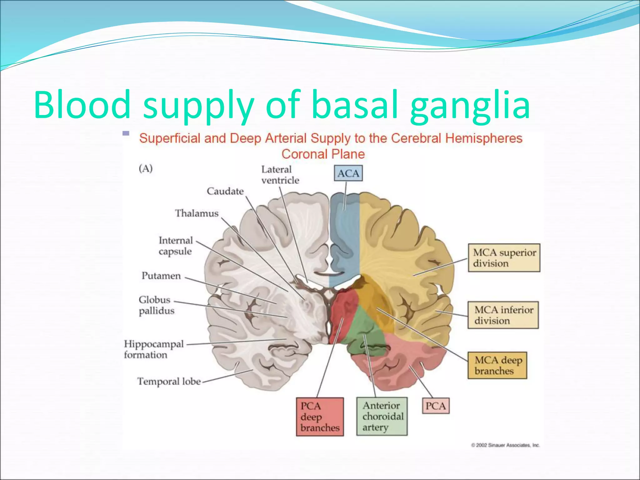 FUNCTIONAL_ANATOMY_OF_BASAL_GANGLIA.ppt