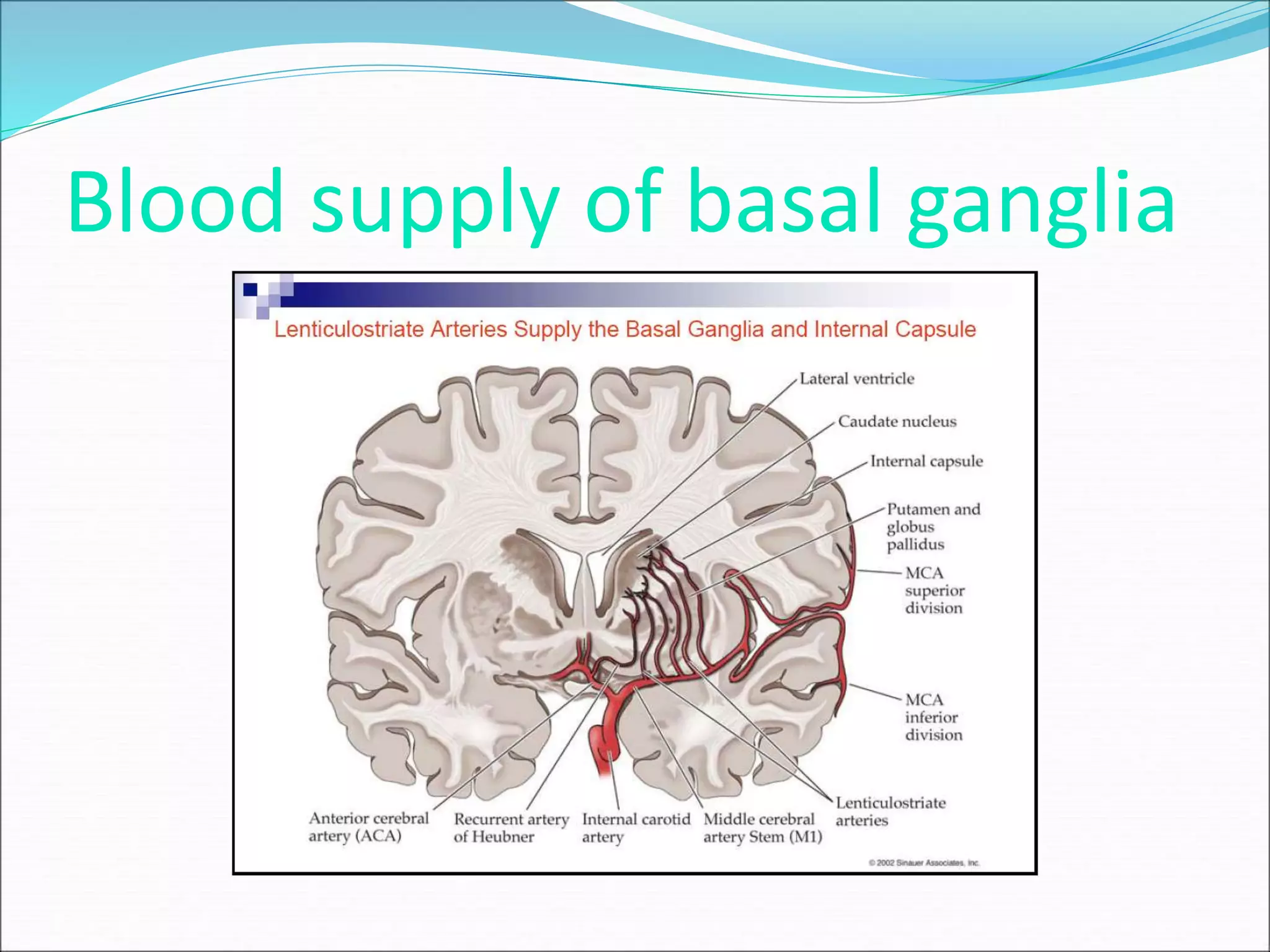 FUNCTIONAL_ANATOMY_OF_BASAL_GANGLIA.ppt